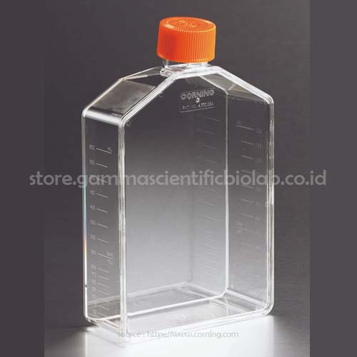 175cm² Angled Neck Cell Culture Flask with Vent Cap – Official Catalog GSB