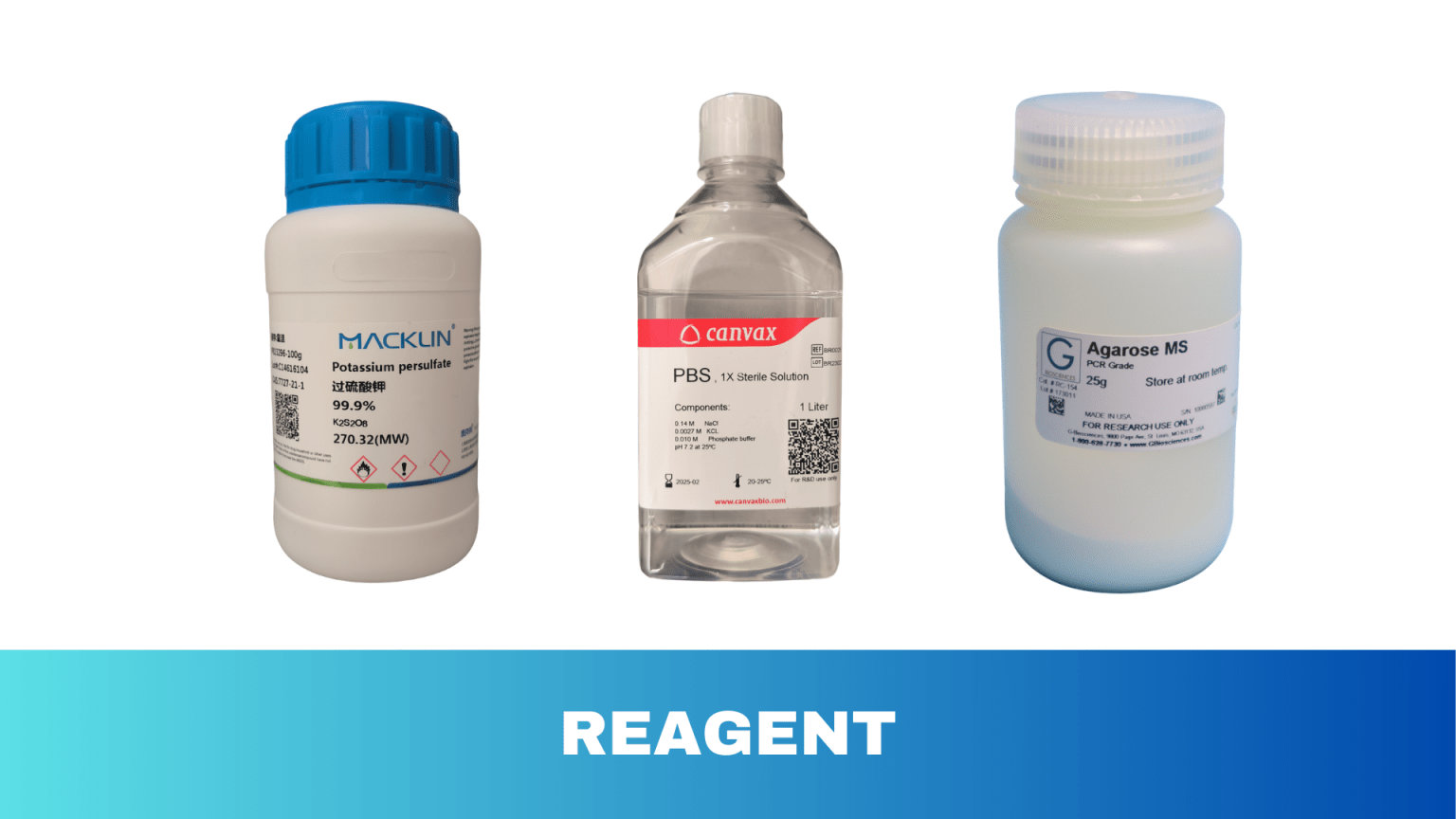 Official Catalog GSB